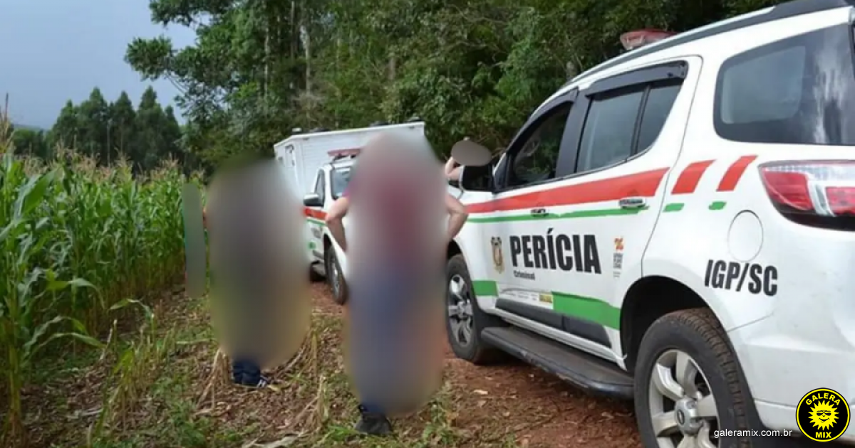 Ossada humana é encontrada em área de mata em Nova Trento - Galera Mix