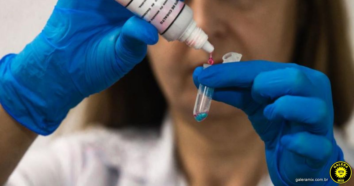 Polícia de Santa Catarina vai realizar testes toxicológicos rápidos em ...