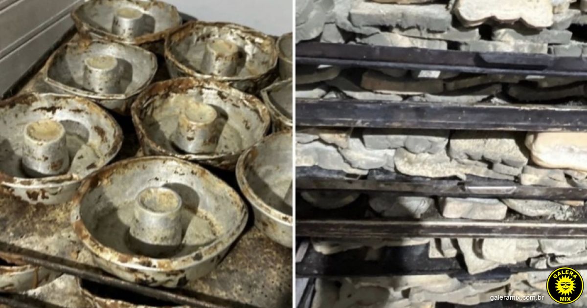 Vigilância Sanitária interdita padaria clandestina em Tijucas após ...